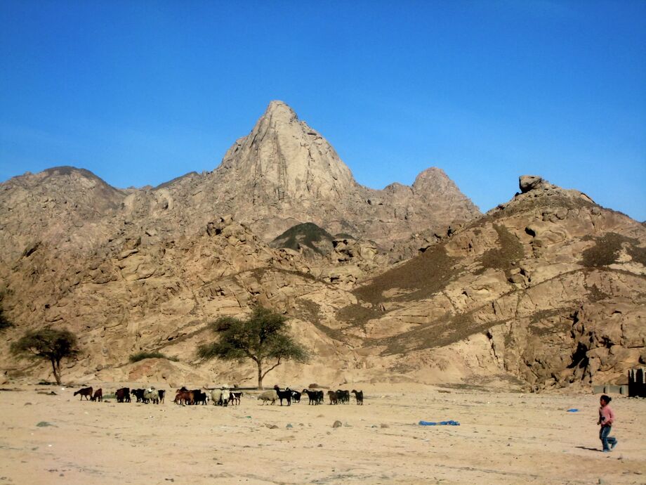 Bild #358205 från Dahab, Egypten - Tiniwini - Reseguiden