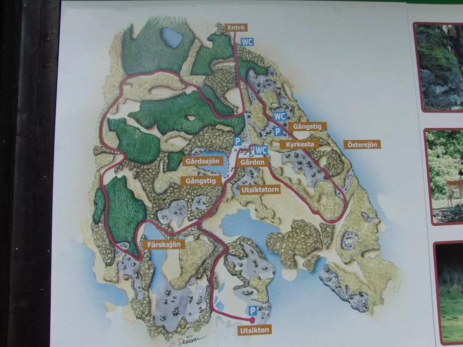 Eriksberg.. Nordens största safaripark - Sverige - Cuddly - Reseguiden