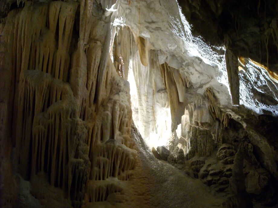 Postonija grottorna. - Postojna, Slovenien - Ingemar_e - Reseguiden