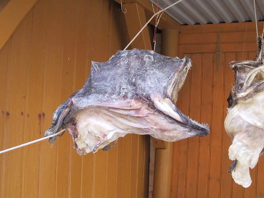 Marulk - Lofoten, Norge - Peroerik - Reseguiden