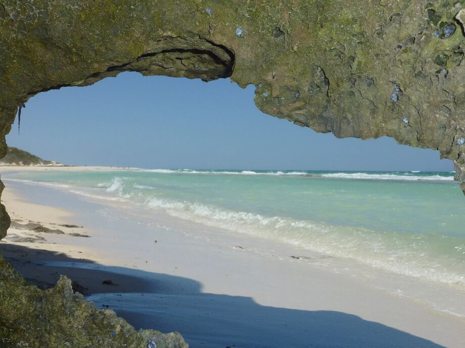 sol & bad - Perth, Western Australia, Australien - Smultronblomma ...