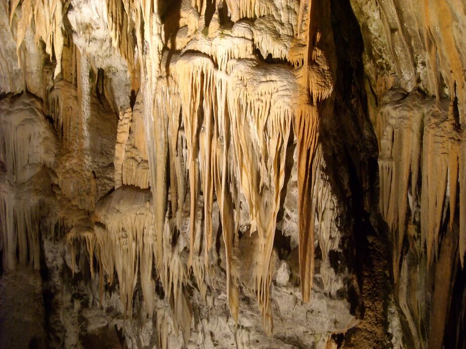 Postonija grottorna. - Postojna, Slovenien - Ingemar_e - Reseguiden