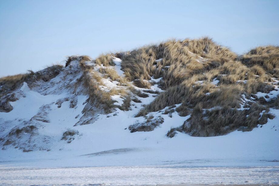 Snöklädda sanddyner - Blokhus, Nordjylland, Danmark - Crista - Reseguiden