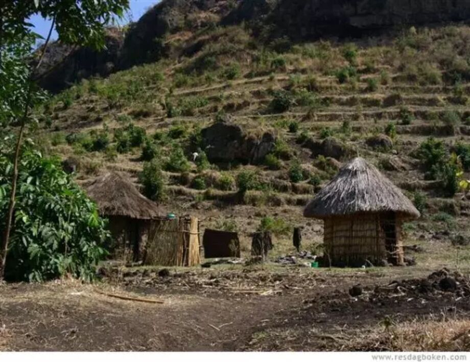 Hydda, Kenya - Kenya - Nrichmond - Reseguiden