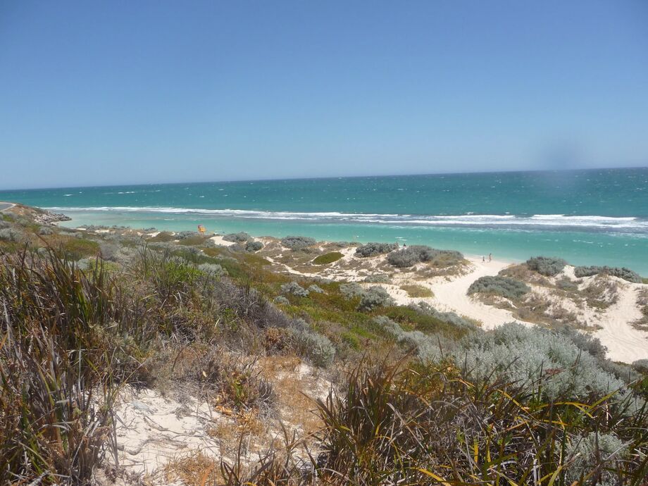 sol & bad - Perth, Western Australia, Australien - Smultronblomma ...