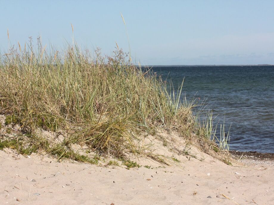 Ljugarns strand - Ljugarn, Gotland, Sverige - Micke73 - Reseguiden