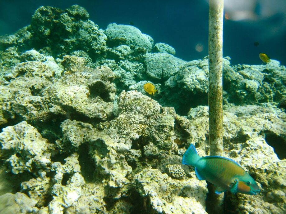 Blå hålet - Dahab, Egypten - Tiniwini - Reseguiden