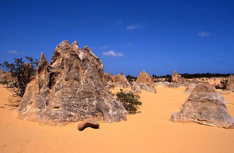 Australien: The Pinnacles - The Pinnacles, Nambung NP, WA, Australien ...