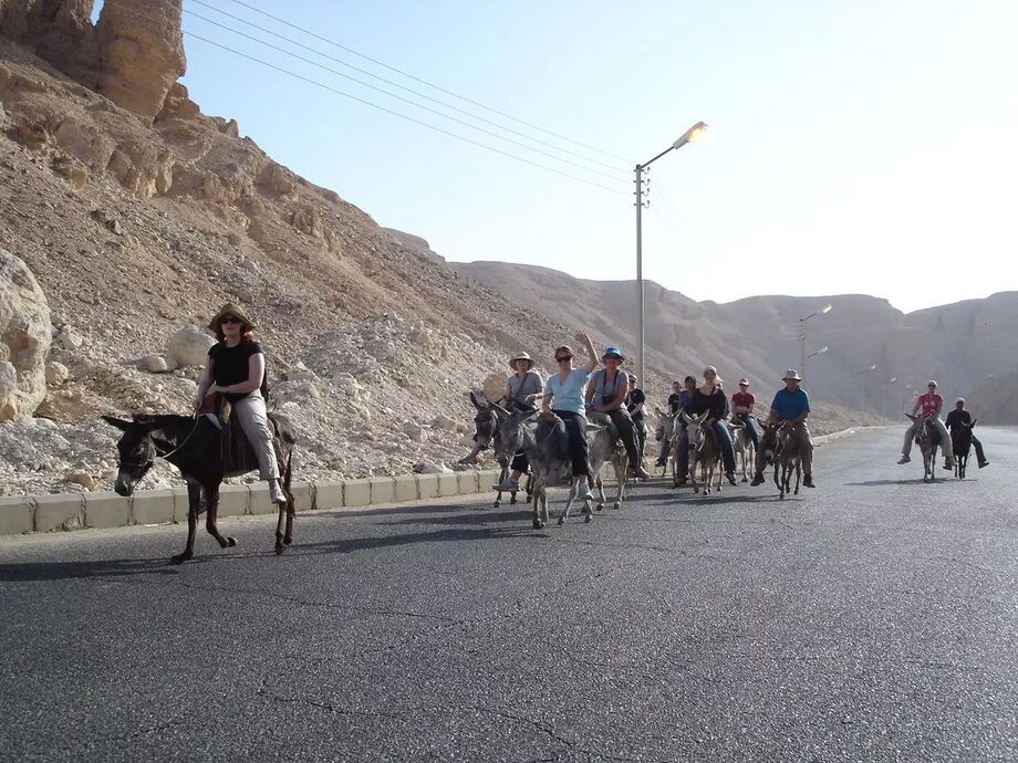 Team Donkey on the way - 42C varmt! - Luxor, Egypten - Tima - Reseguiden