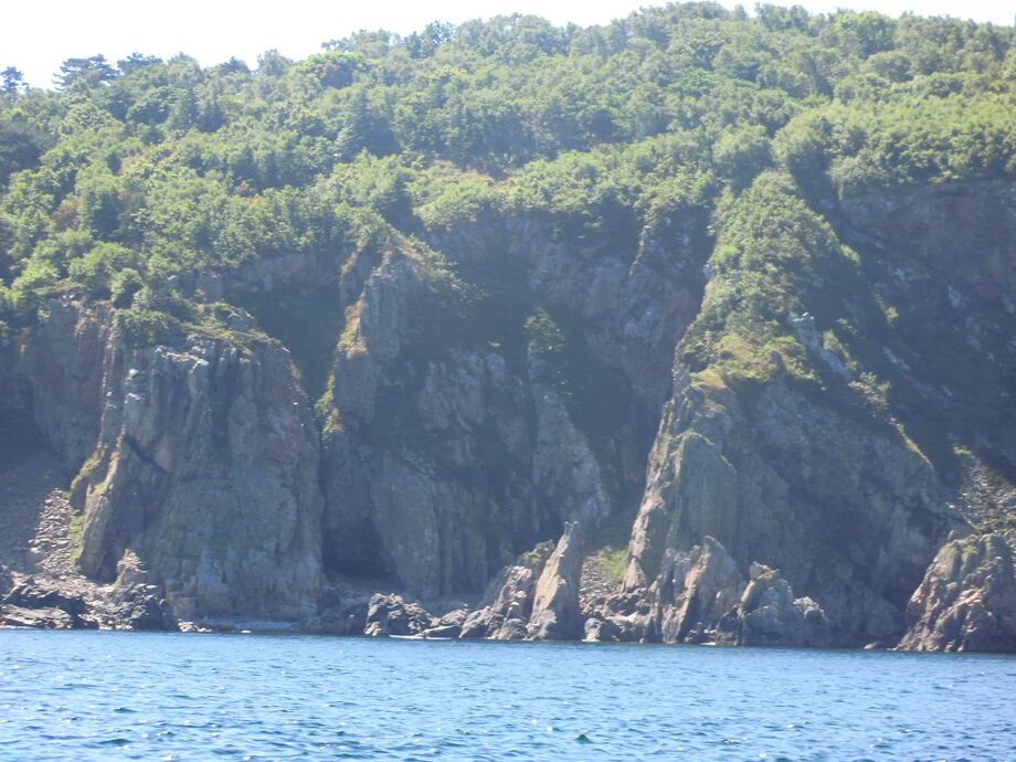 Bild #432480 från Mölle, Kullabydgen, Skåne, Sverige - Kattax - Reseguiden