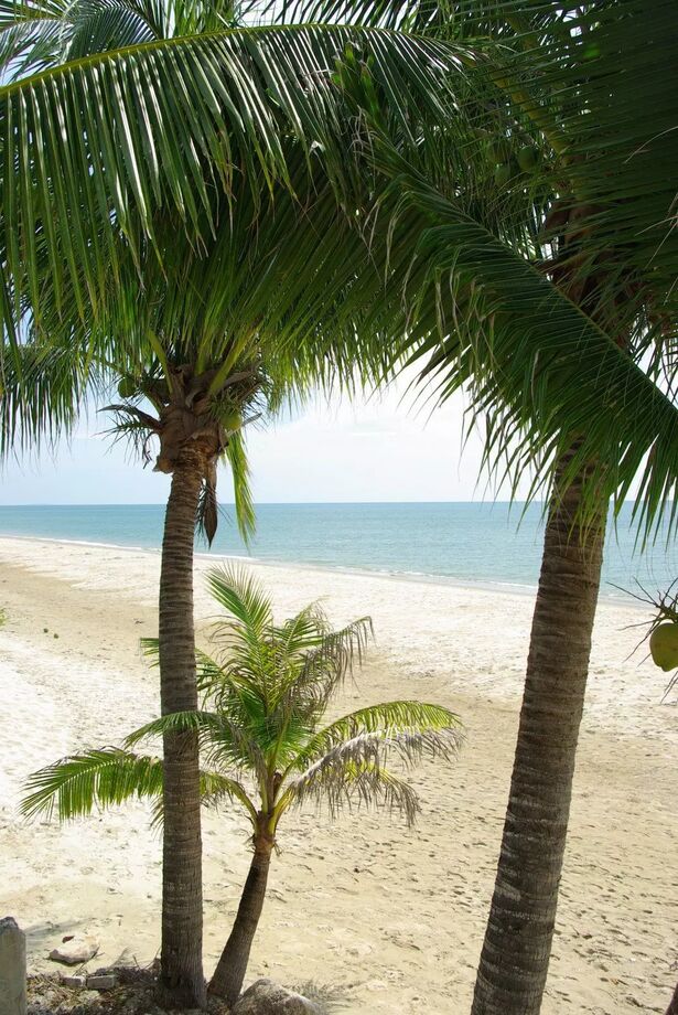 Vy - Ban Phe, Rayong, Thailand - Opsrobban - Reseguiden