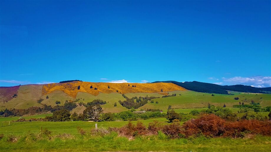 Vacker natur - New Zealand - Bejjan888 - Reseguiden