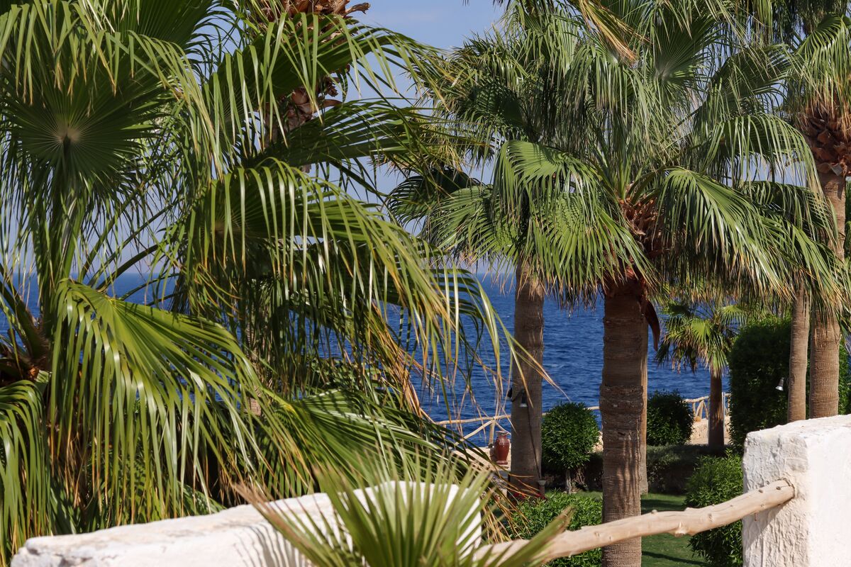 Charterresor till solen - jämför alla priser på ett klick