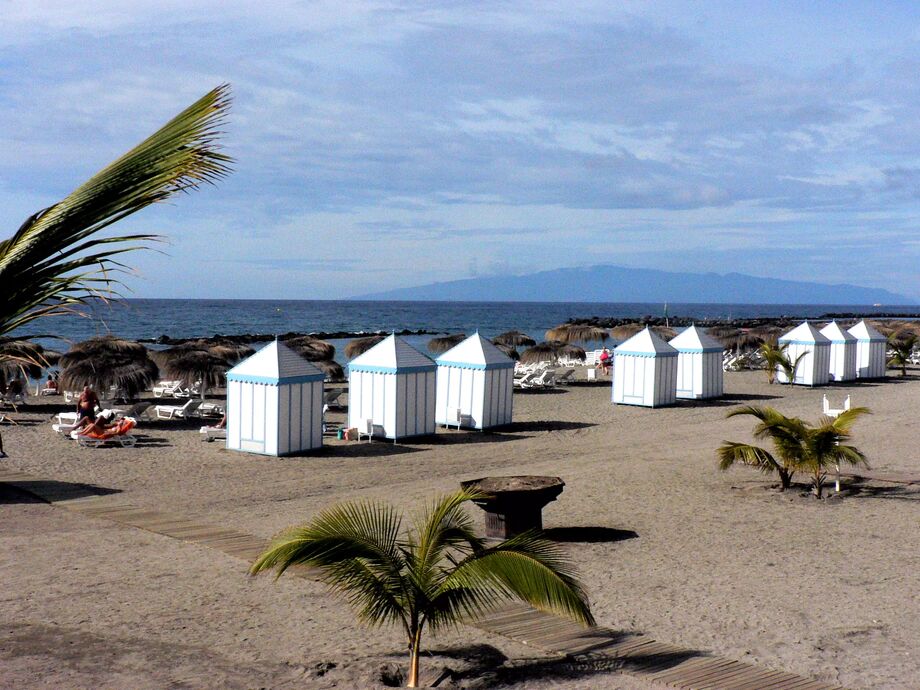"Fin"=dyr strand på Teneriffa - Teneriffa, Kanarieöarna, Spanien ...