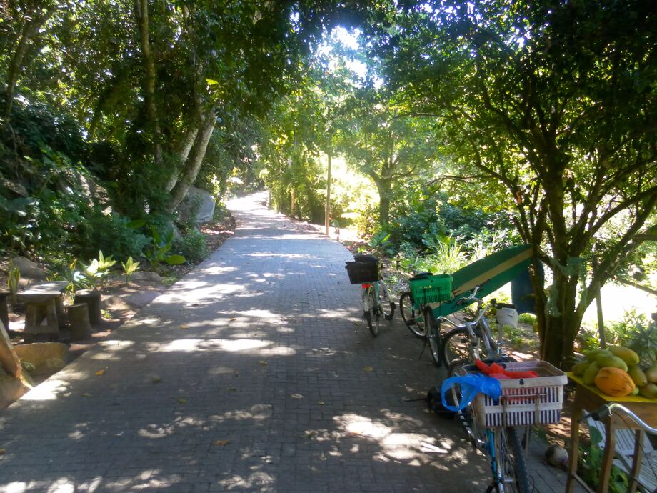 Cykla runt ön - Seychellerna - Travelmania - Reseguiden