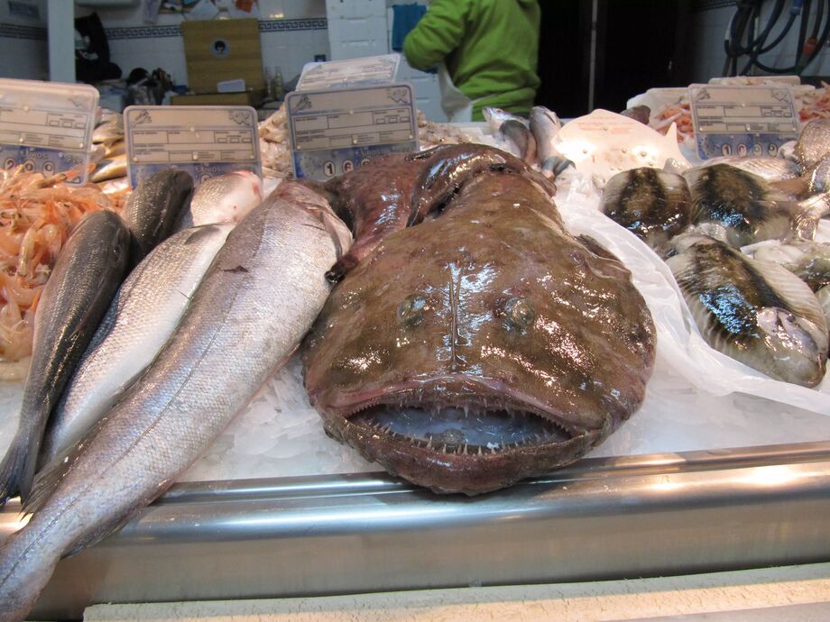 Ful fisk - Almunecar, Costa del Sol, Andalusien, Spanien - Anom ...