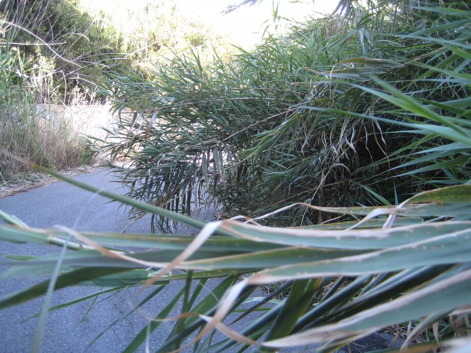 Lecrin, Embalse de Beznar - Andalusien, Spanien - Gunillas - Reseguiden