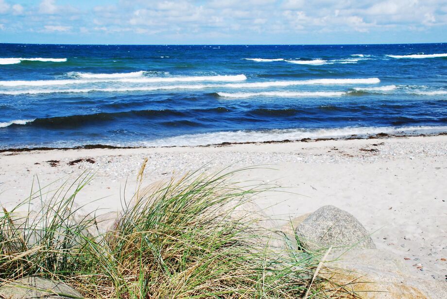 Strand och hav - Danmark - Rika44 - Reseguiden