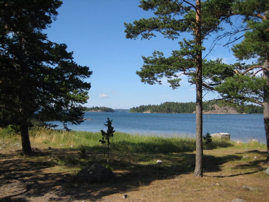 Vacker natur vid Stendörren - Sverige - Peroerik - Reseguiden