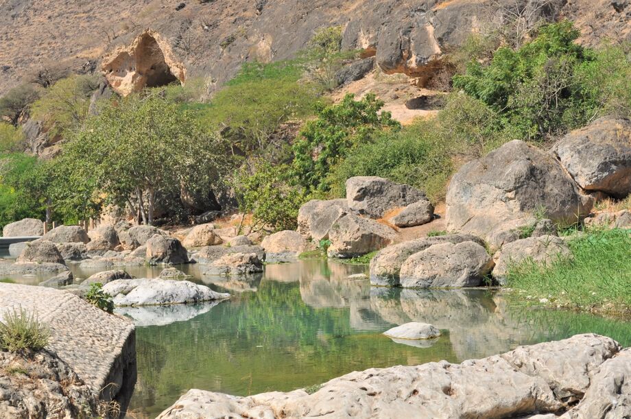 Oasen Ayn Razat. - Wadi Razat, Oman - Eje_b - Reseguiden