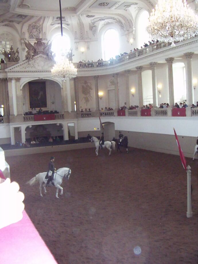 Spanska ridskolan - Wien, Österrike - Marex23 - Reseguiden