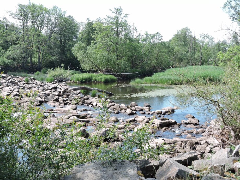 Veddige strandpromenad. - Västkusten, Sverige - Kattax - Reseguiden