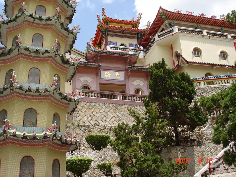 Kok si lok - Malaysia - Amazinggreys - Reseguiden